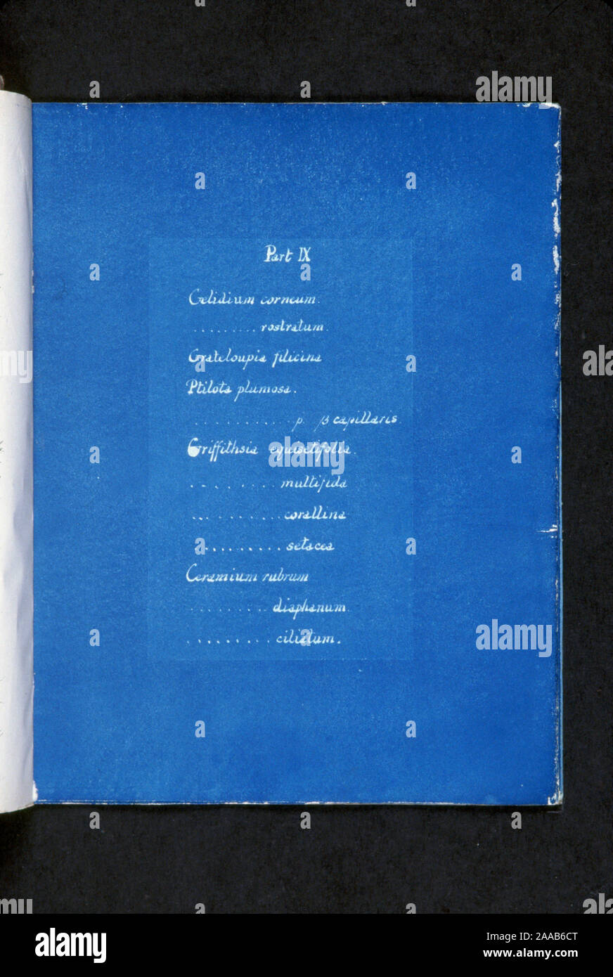 Contents list.; Contents list Stock Photo - Alamy