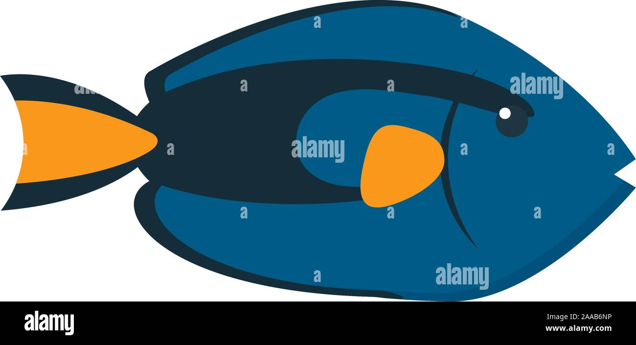 Isolated sea fish vector design Stock Vector Image & Art - Alamy