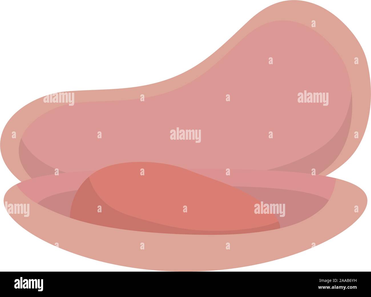 Isolated sea shelf vector design Stock Vector Image & Art - Alamy
