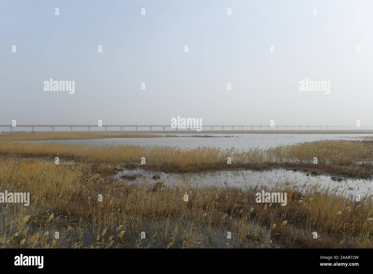 Ruoqiang. 17th Nov, 2019. Photo taken on Nov. 17, 2019 shows the ...
