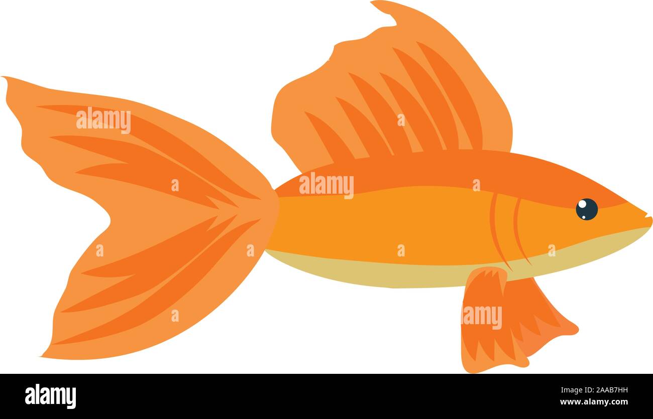 Isolated sea fish vector design Stock Vector Image & Art - Alamy