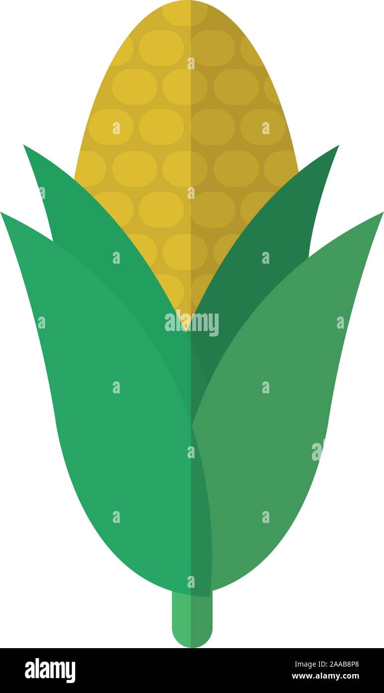 Isolated corn food vector design Stock Vector Image & Art - Alamy