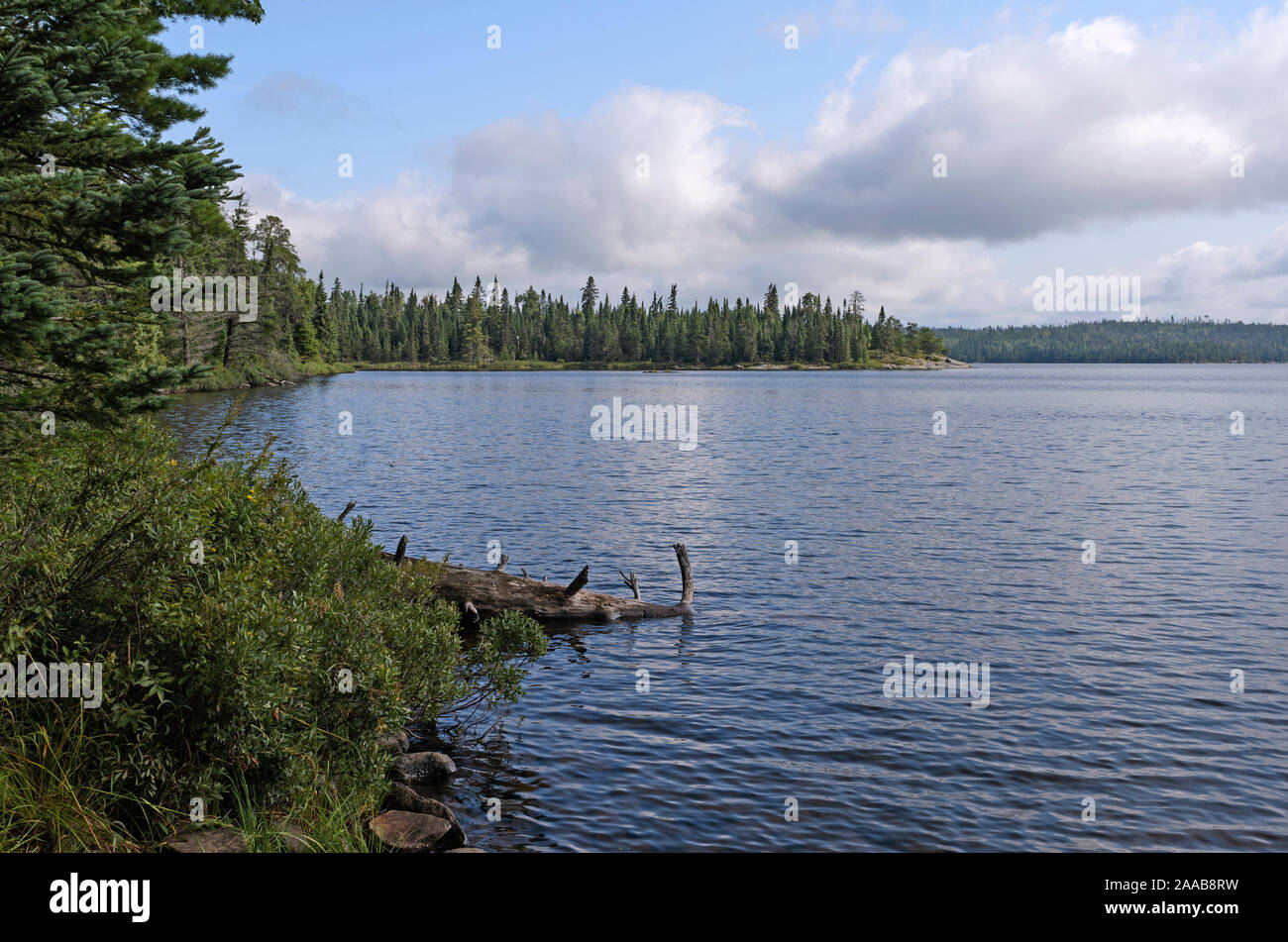 North Woods Lake on a Quiet Summer Day in the Boundary Waters in ...