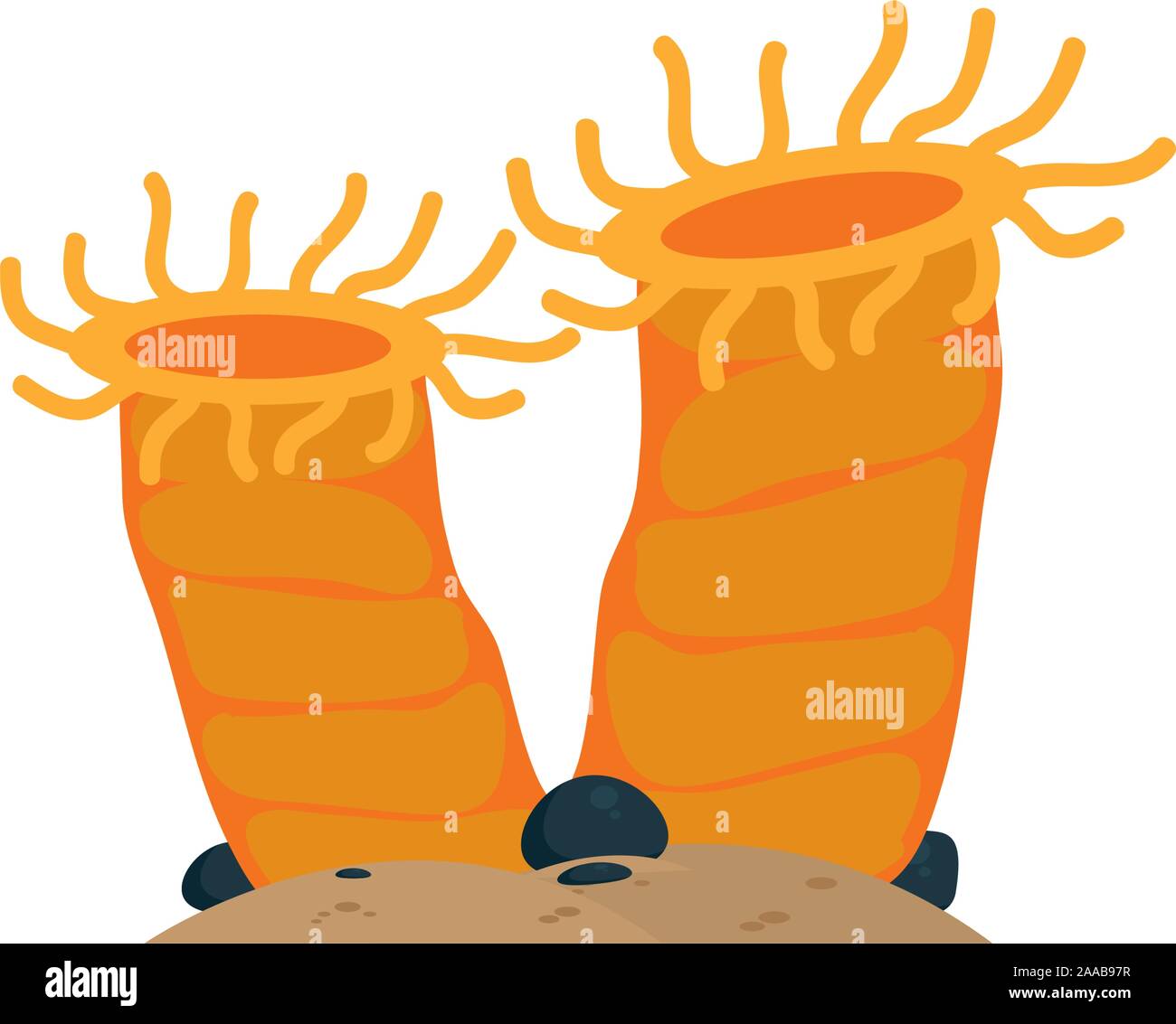 Isolated sea mollusk vector design Stock Vector Image & Art - Alamy