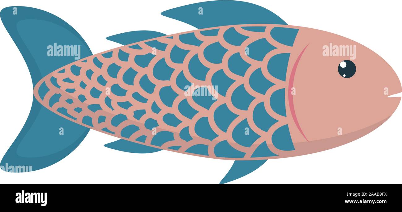 Isolated sea fish vector design Stock Vector Image & Art - Alamy