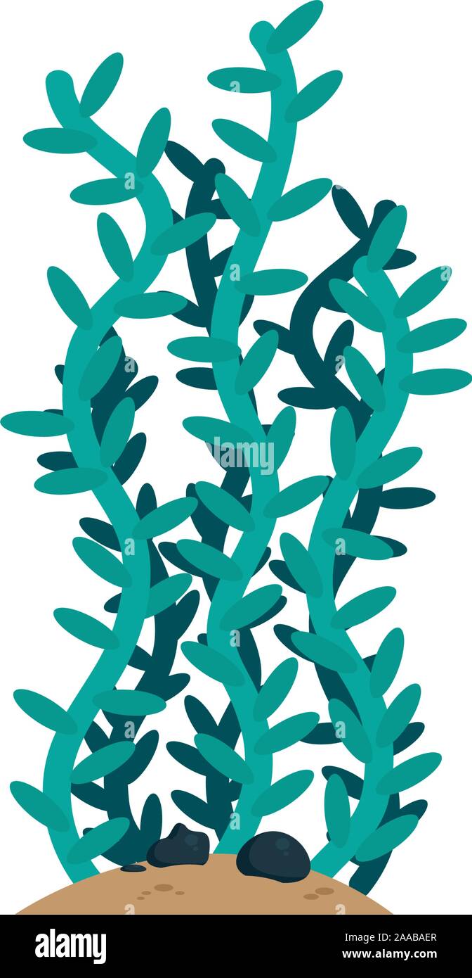 Isolated sea plant vector design Stock Vector Image & Art - Alamy