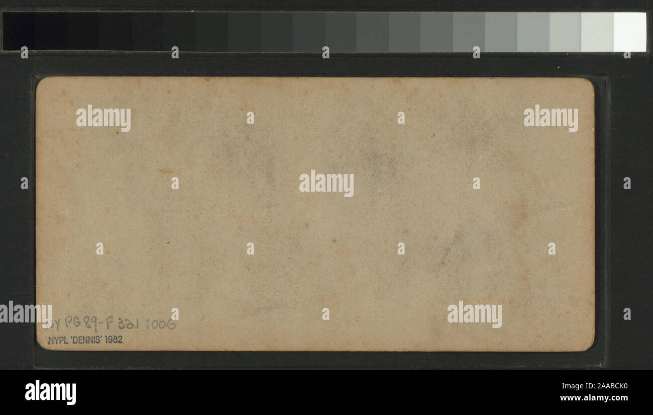 Cutting off section of big tree, (78 ft. circum.) Frezno [sic]Co ...