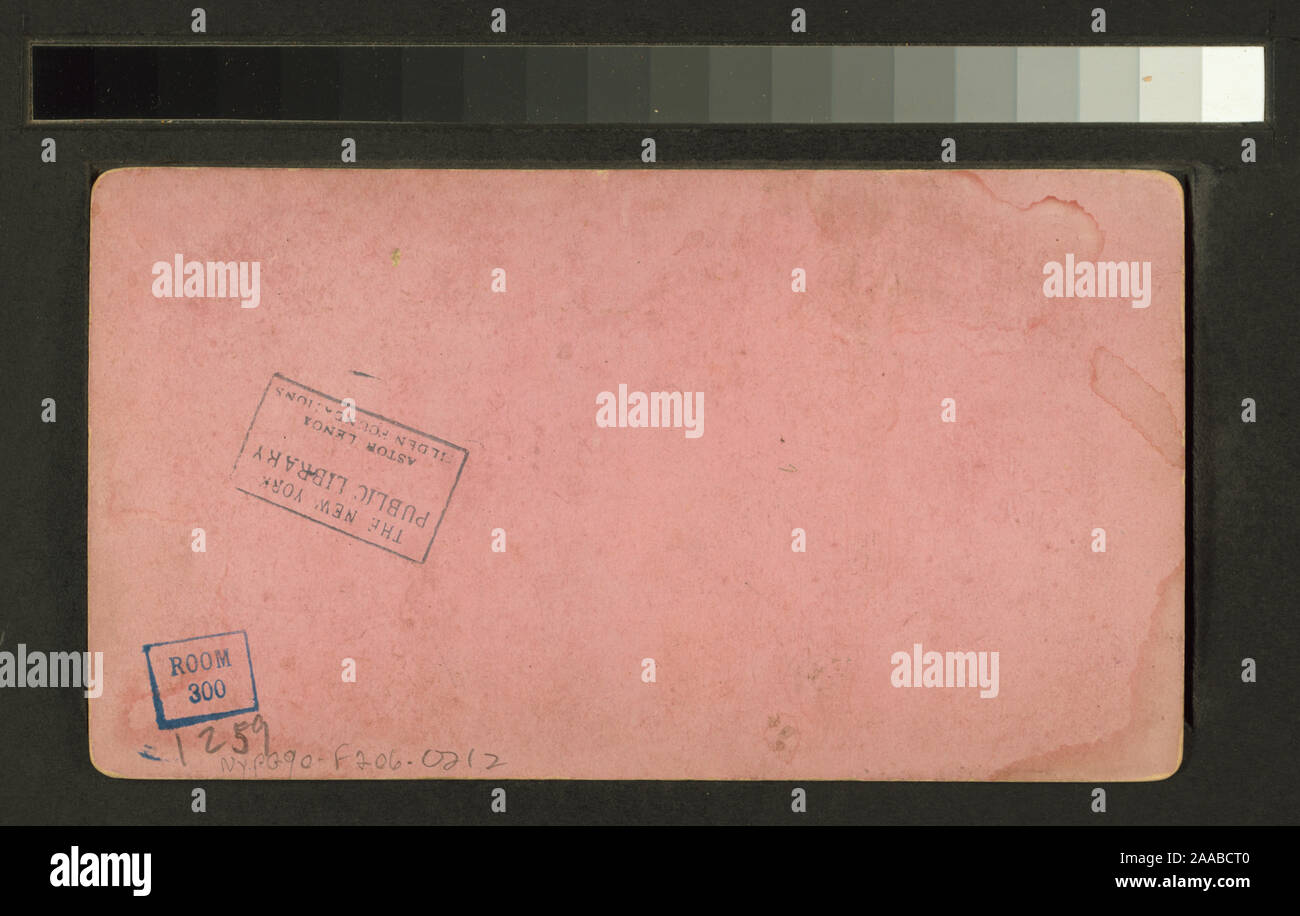 Cypress tree, 25 feet diameter.; Cypress tree, 25 feet diameter Stock ...