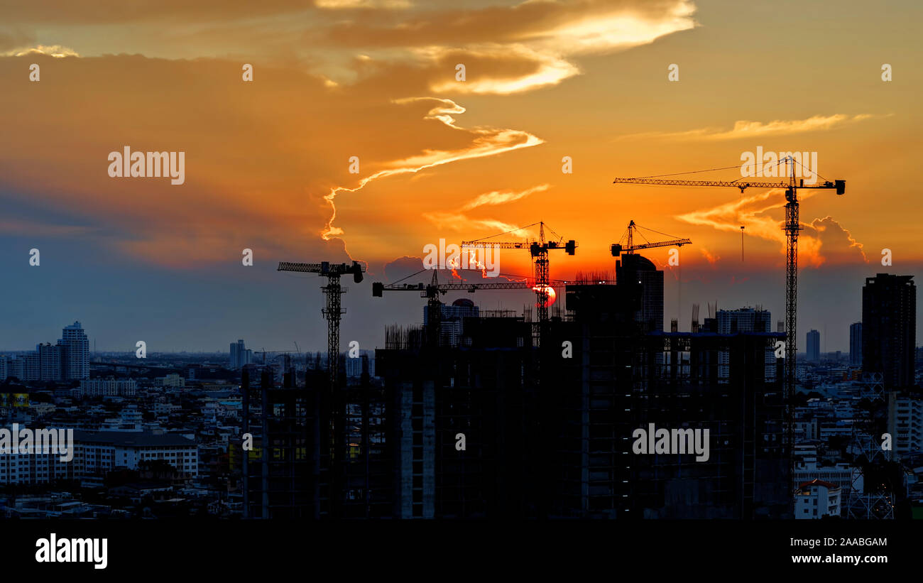 Cranes in the Sunset Stock Photo - Alamy