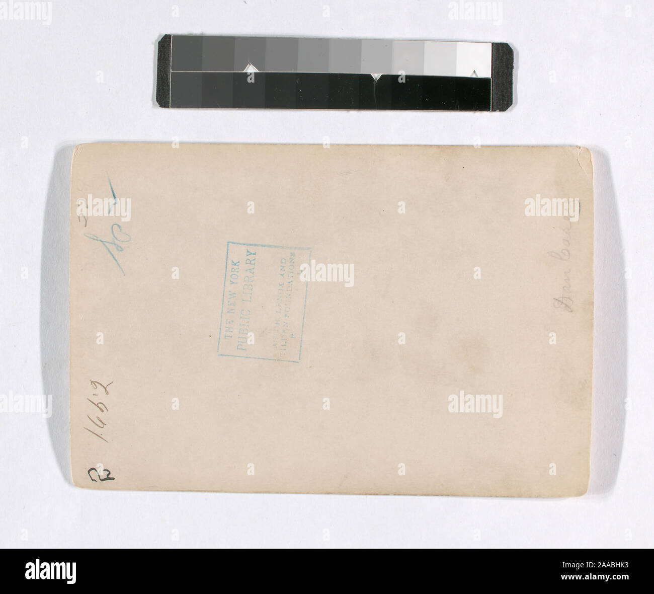 Dan Casey; Dan Casey Stock Photo - Alamy