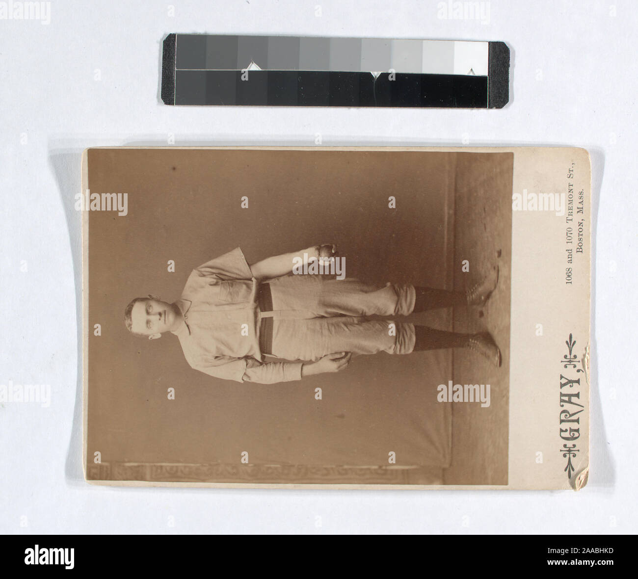 Dan Casey; Dan Casey Stock Photo - Alamy