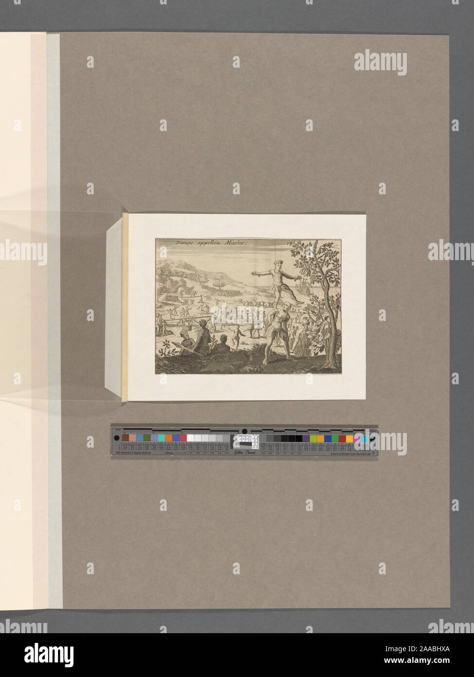 Mitotes hi-res stock photography and images - Alamy