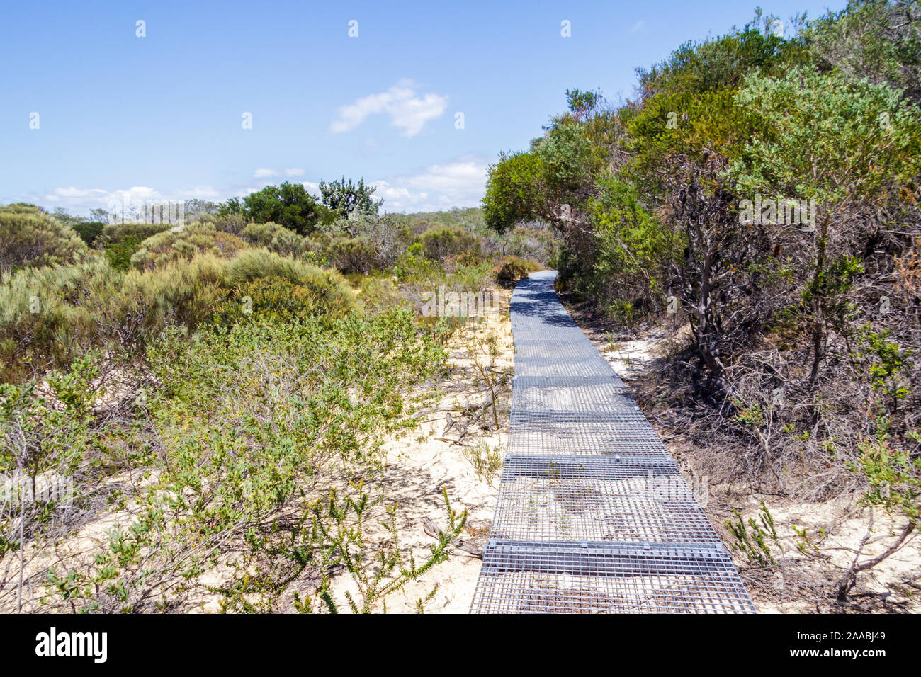 Pathway through North Head Sanctuary, Manly, Sydney, Australia Stock ...