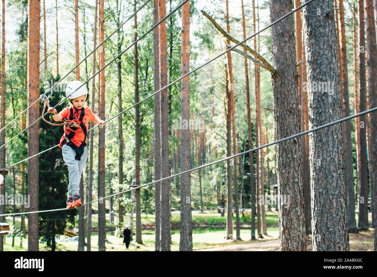 Little boy with climbing gear climbing rope trail between pine trees in ...