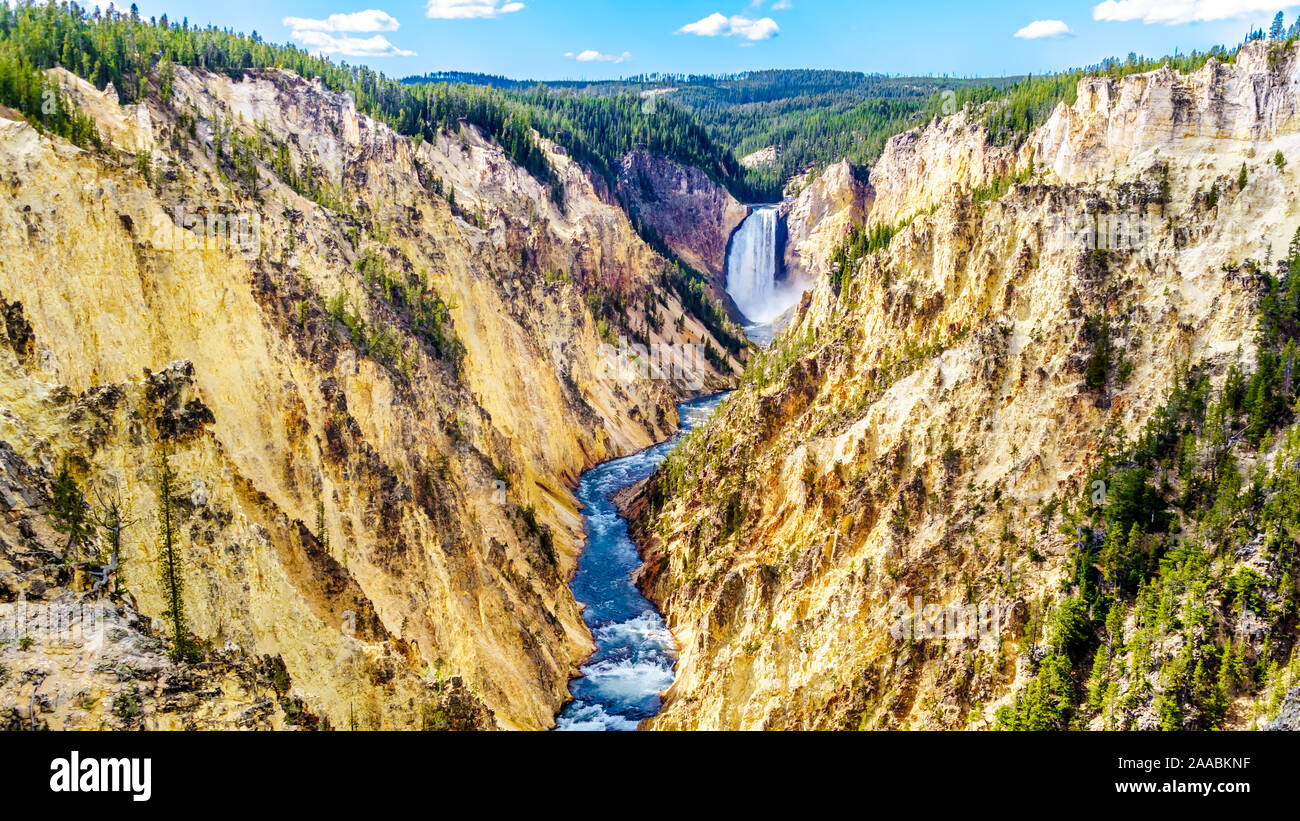 The Upper Falls of the Yellowstone River flowing through the yellow and ...