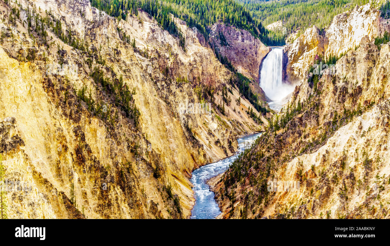 The Upper Falls of the Yellowstone River flowing through the yellow and ...