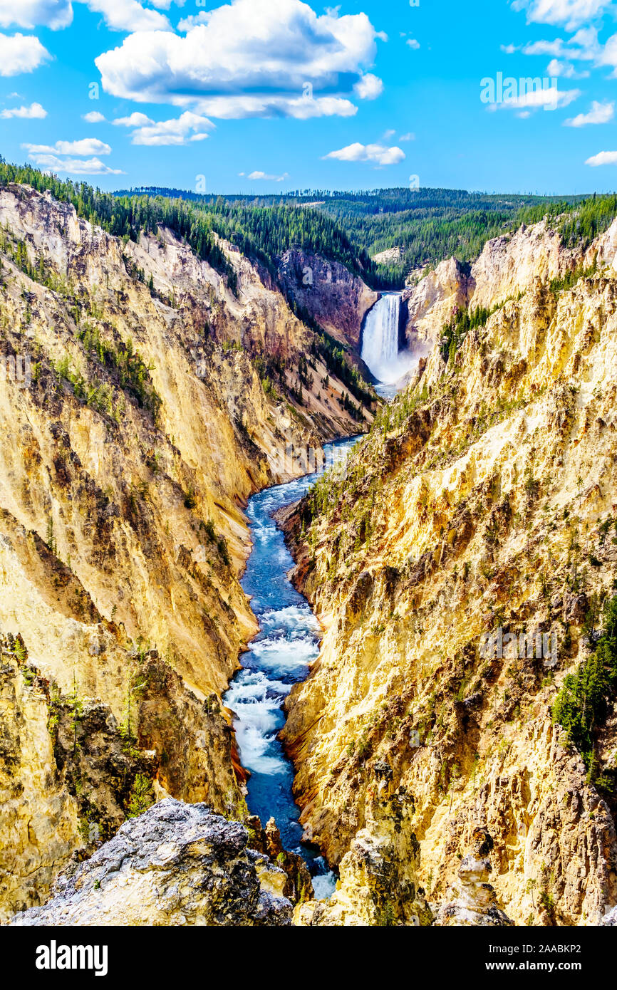 The Upper Falls of the Yellowstone River flowing through the yellow and ...
