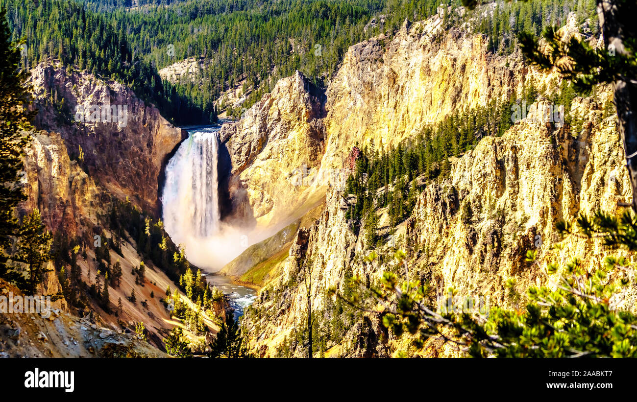 The Upper Falls of the Yellowstone River flowing through the yellow and ...