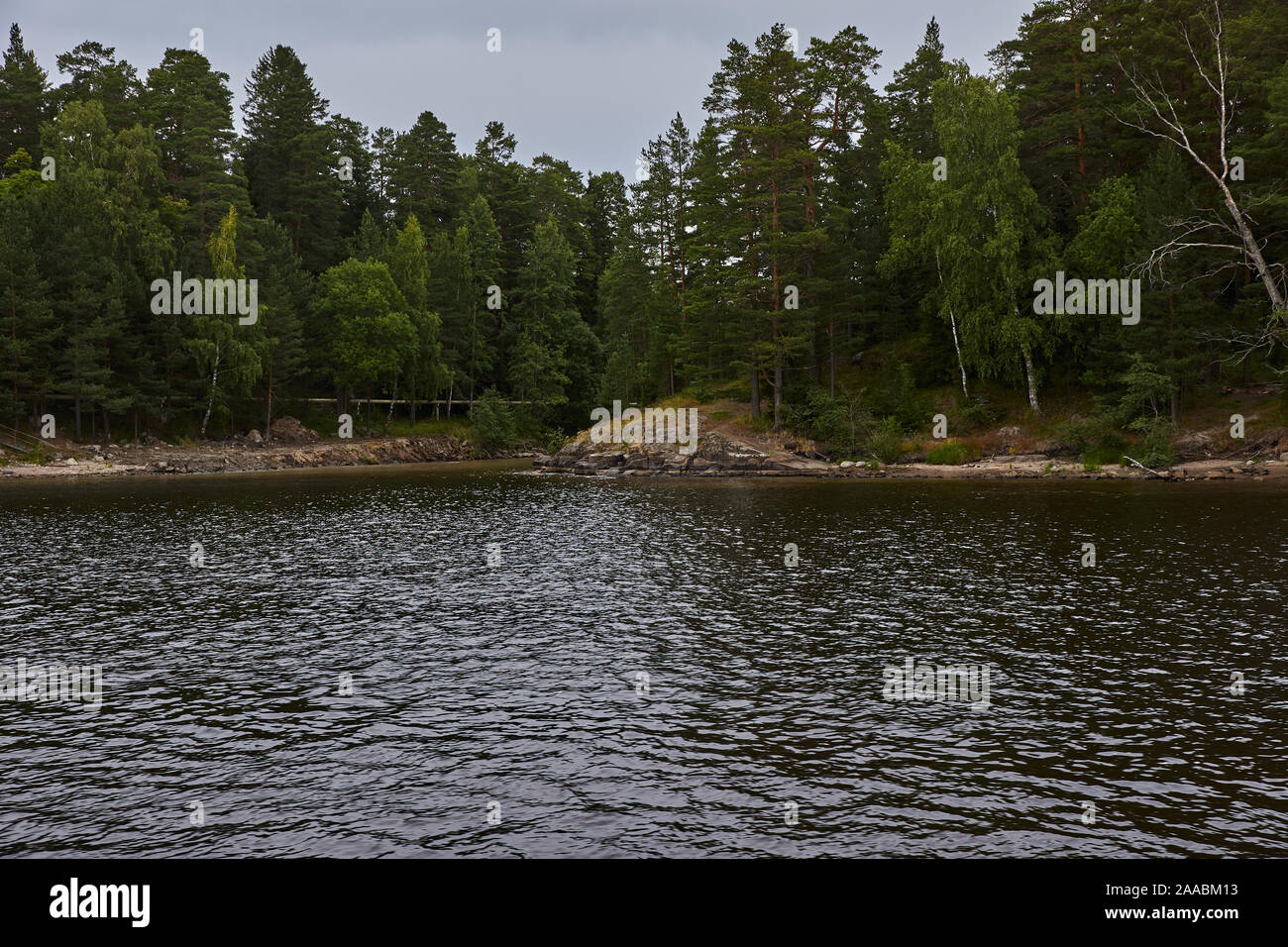 Typical Karelian landscape on the island of Valaam: forest of conifers ...