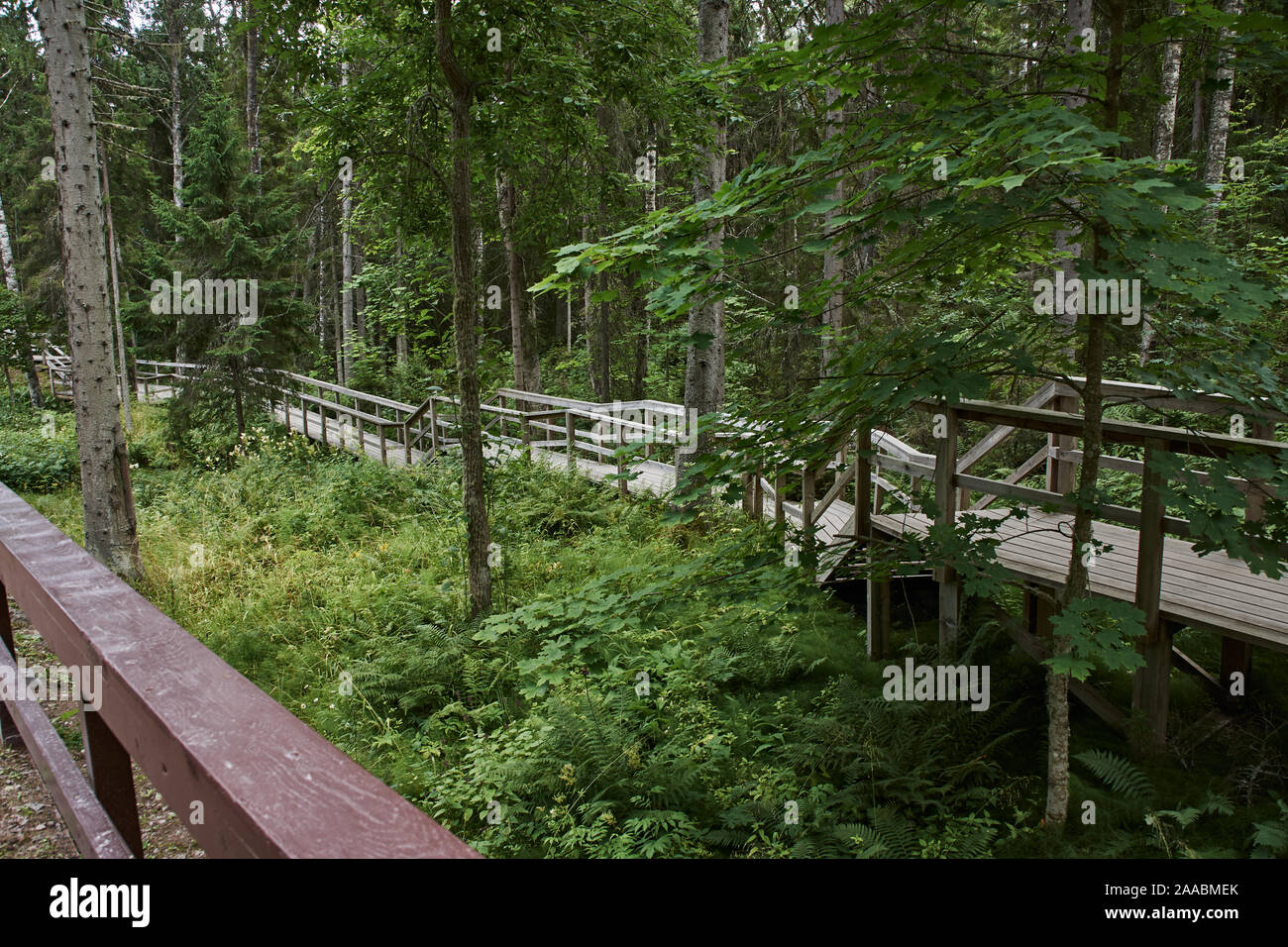 Bridge over ravine hi-res stock photography and images - Alamy