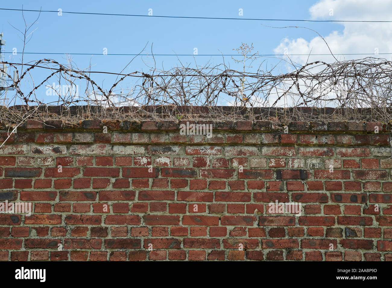 Concrete wall barbed wire hi-res stock photography and images - Alamy