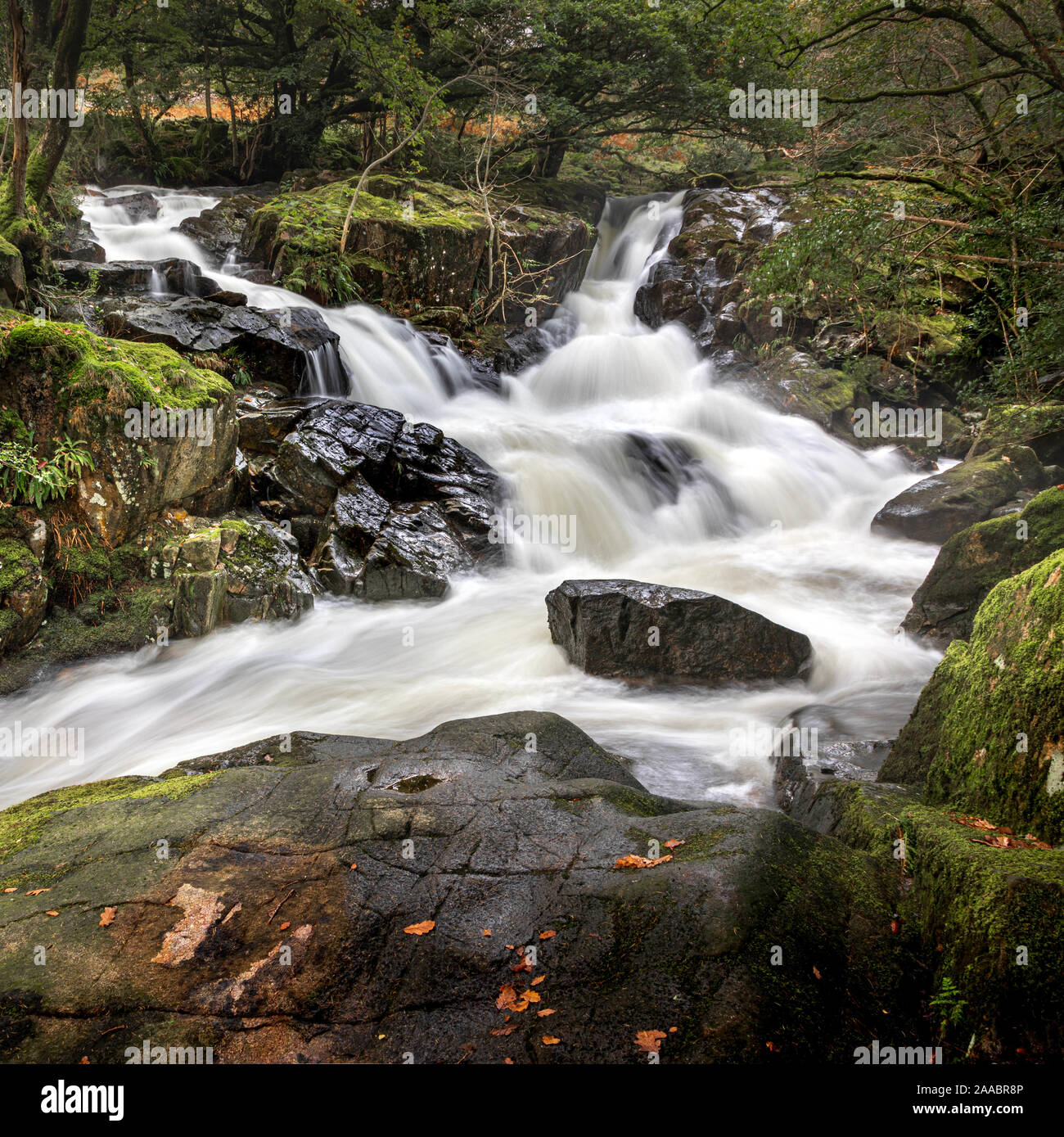 Moss beck waterfalls hi-res stock photography and images - Alamy