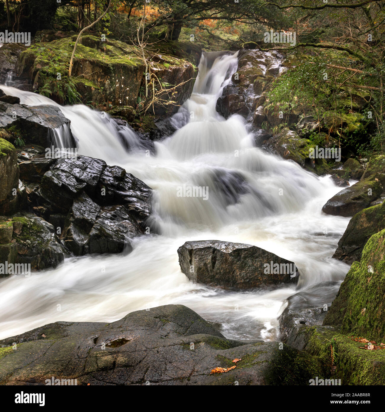 Moss beck waterfalls hi-res stock photography and images - Alamy