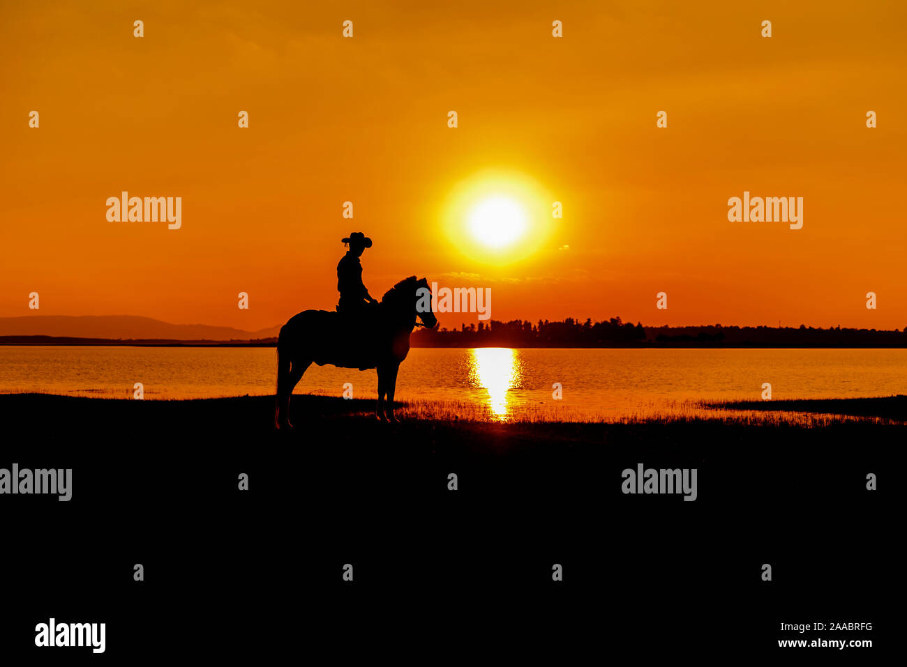 Cowboy on horse during nice hi-res stock photography and images - Alamy