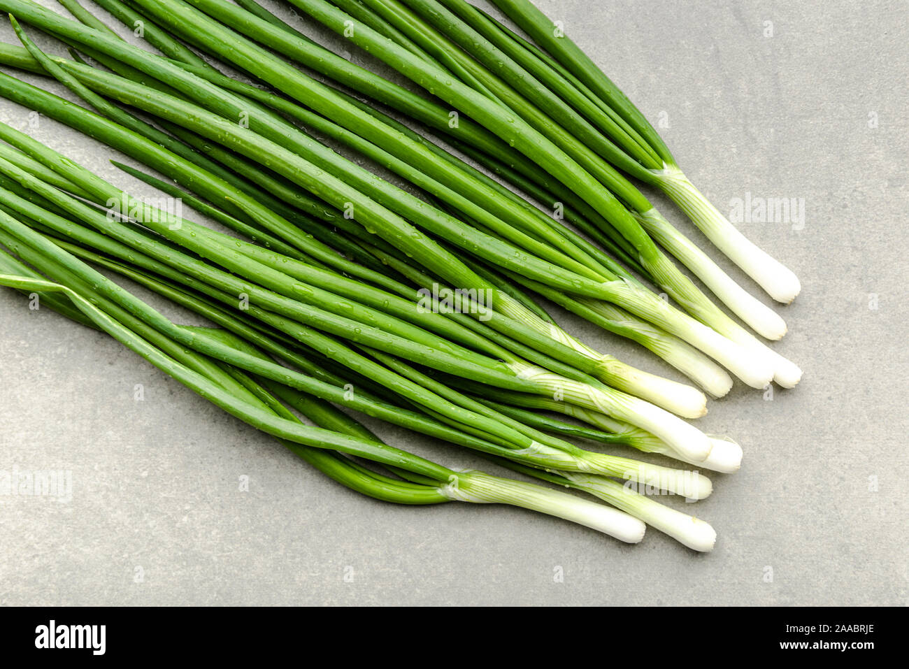 Fresh green onion bunch, clean vegetables, freshly harvested garden ...