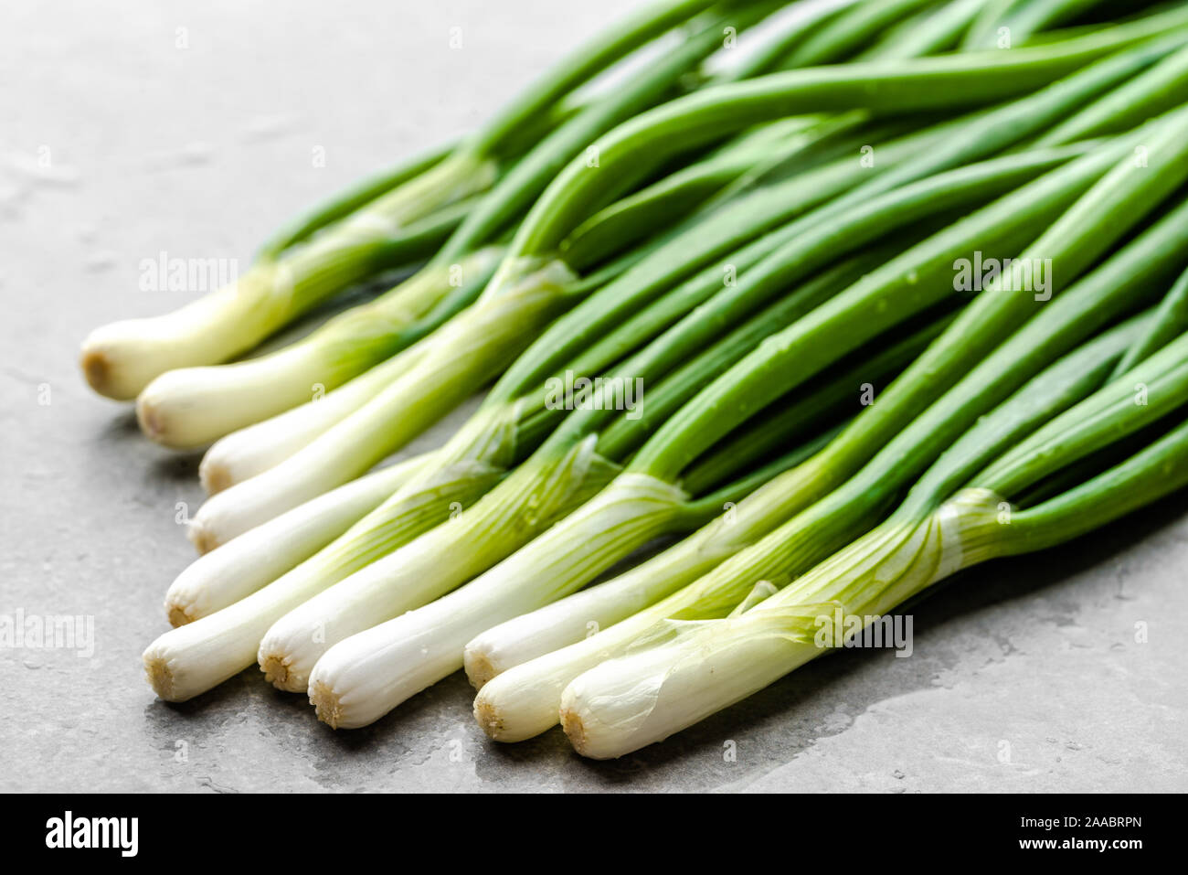 Spring Onion Vegetable