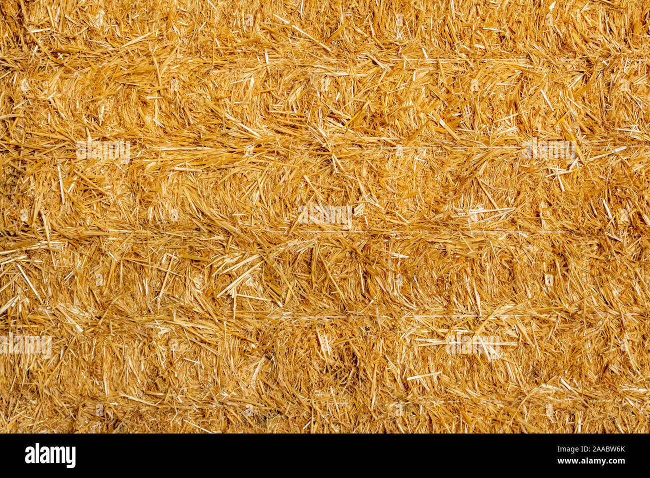 Golden straw stack tightened with straps. Texture background of straw ...