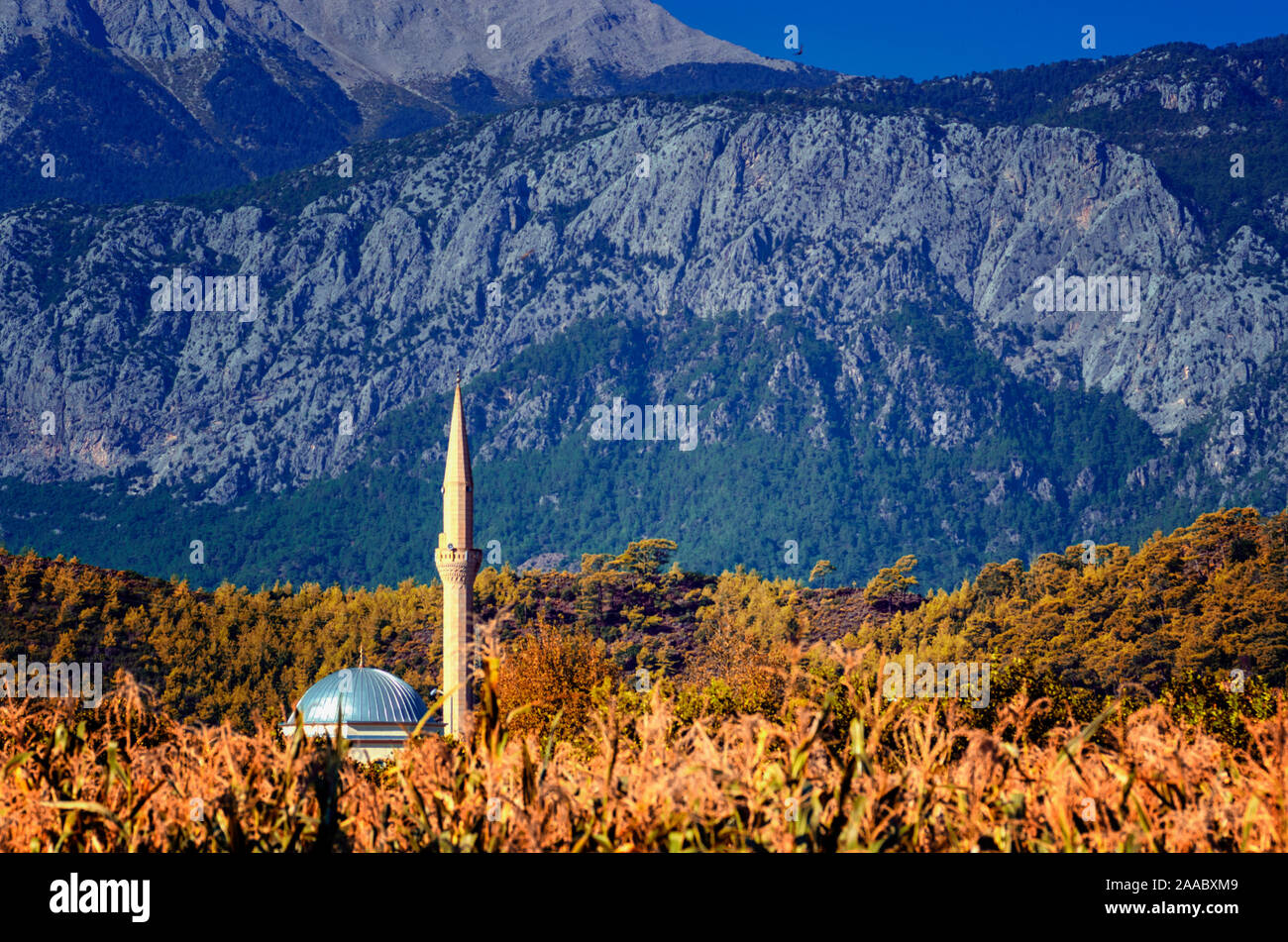 Mosque in a cornfield on a background of mountains. Turkey, Kirish ...