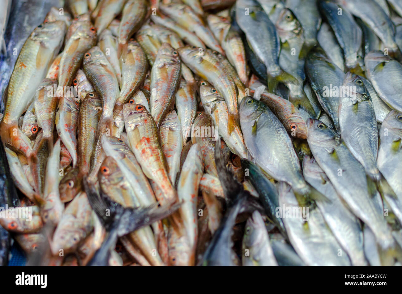 Fresh fish lying in a tray on the market for sale Stock Photo - Alamy