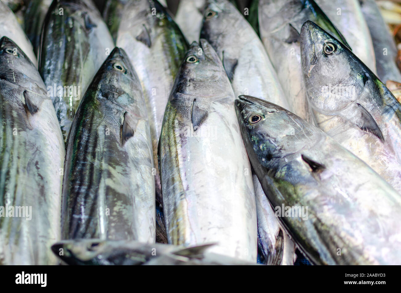Fresh fish lying in a tray on the market for sale Stock Photo - Alamy