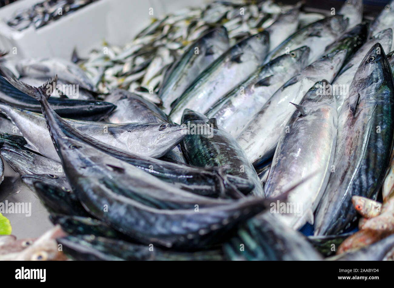 Fresh fish lying in a tray on the market for sale Stock Photo - Alamy