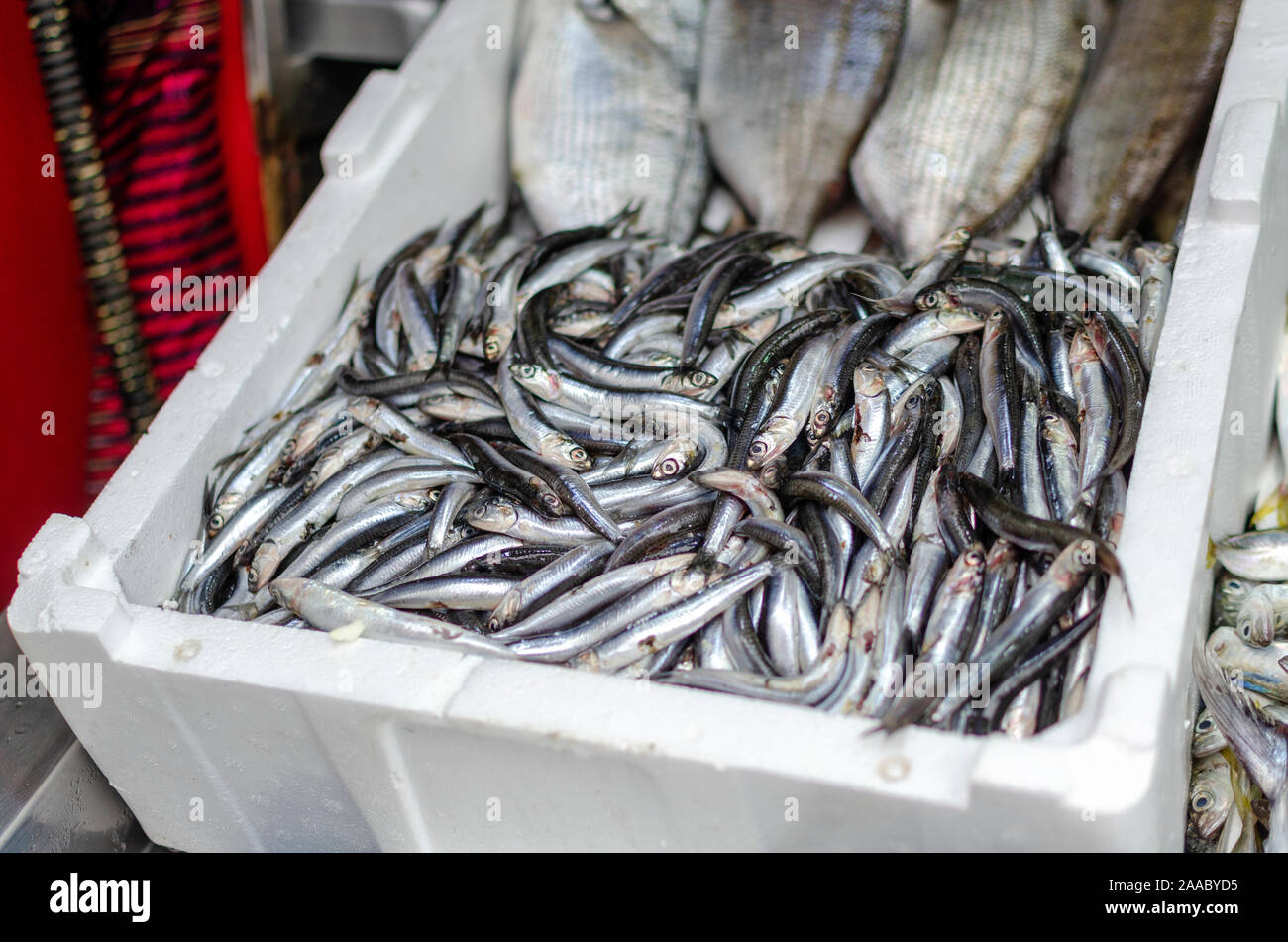 Fresh fish lying in a tray on the market for sale Stock Photo - Alamy