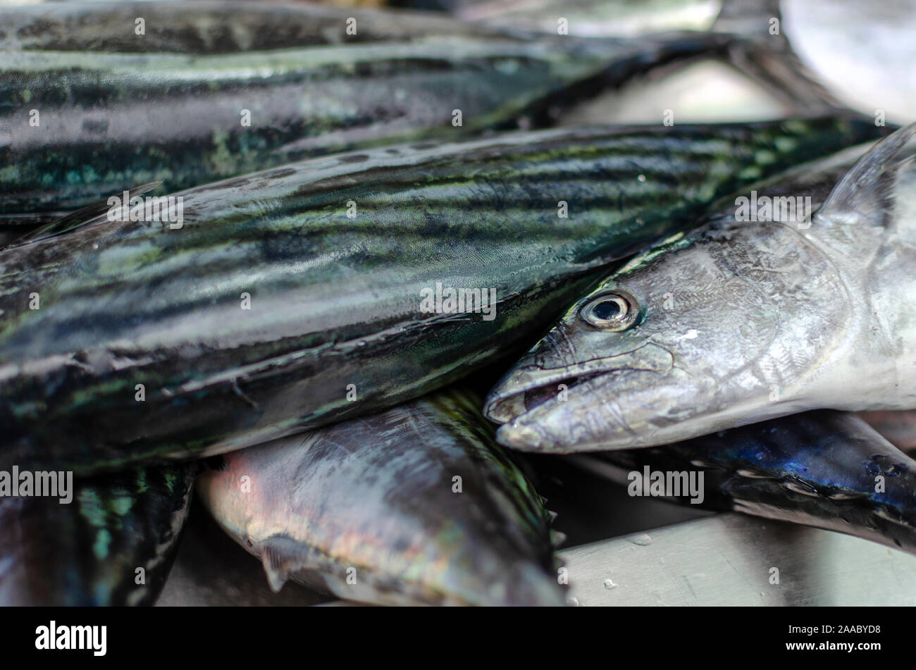 Fresh fish lying in a tray on the market for sale Stock Photo - Alamy
