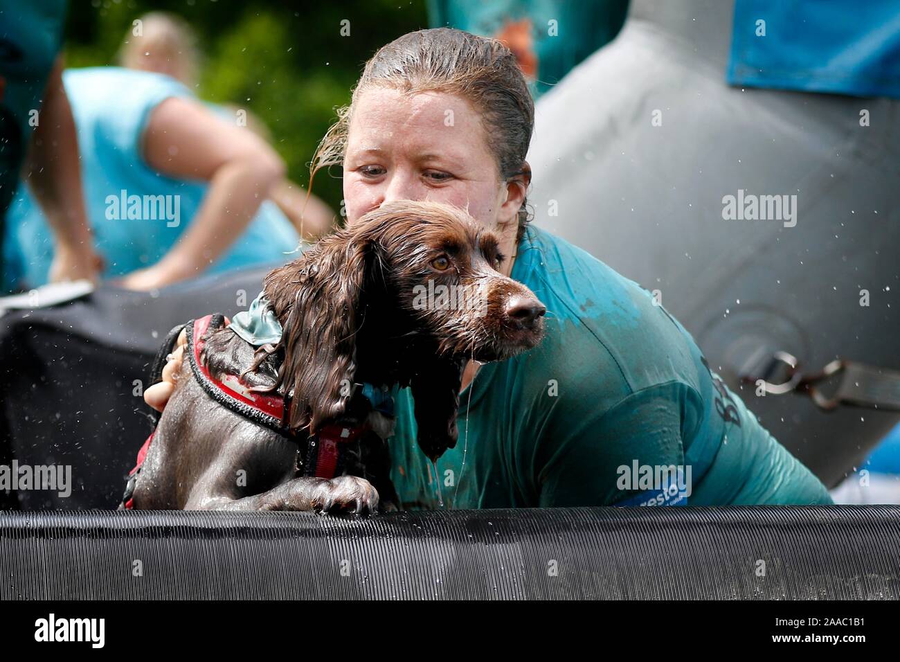 Four paws charity hi-res stock photography and images - Alamy