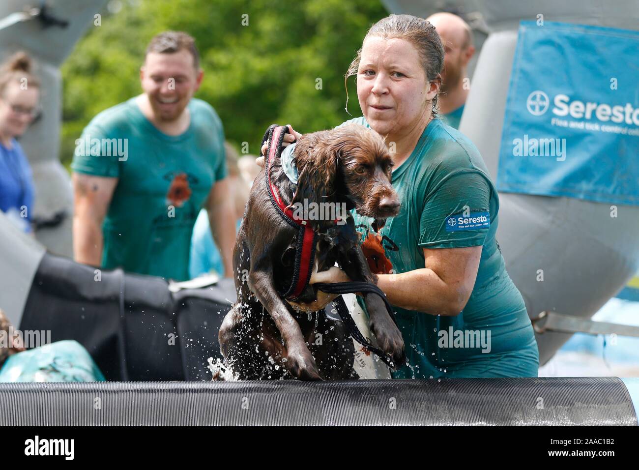 Dogs and their owners taking part in the Muddy Dog Challenge, tackling ...