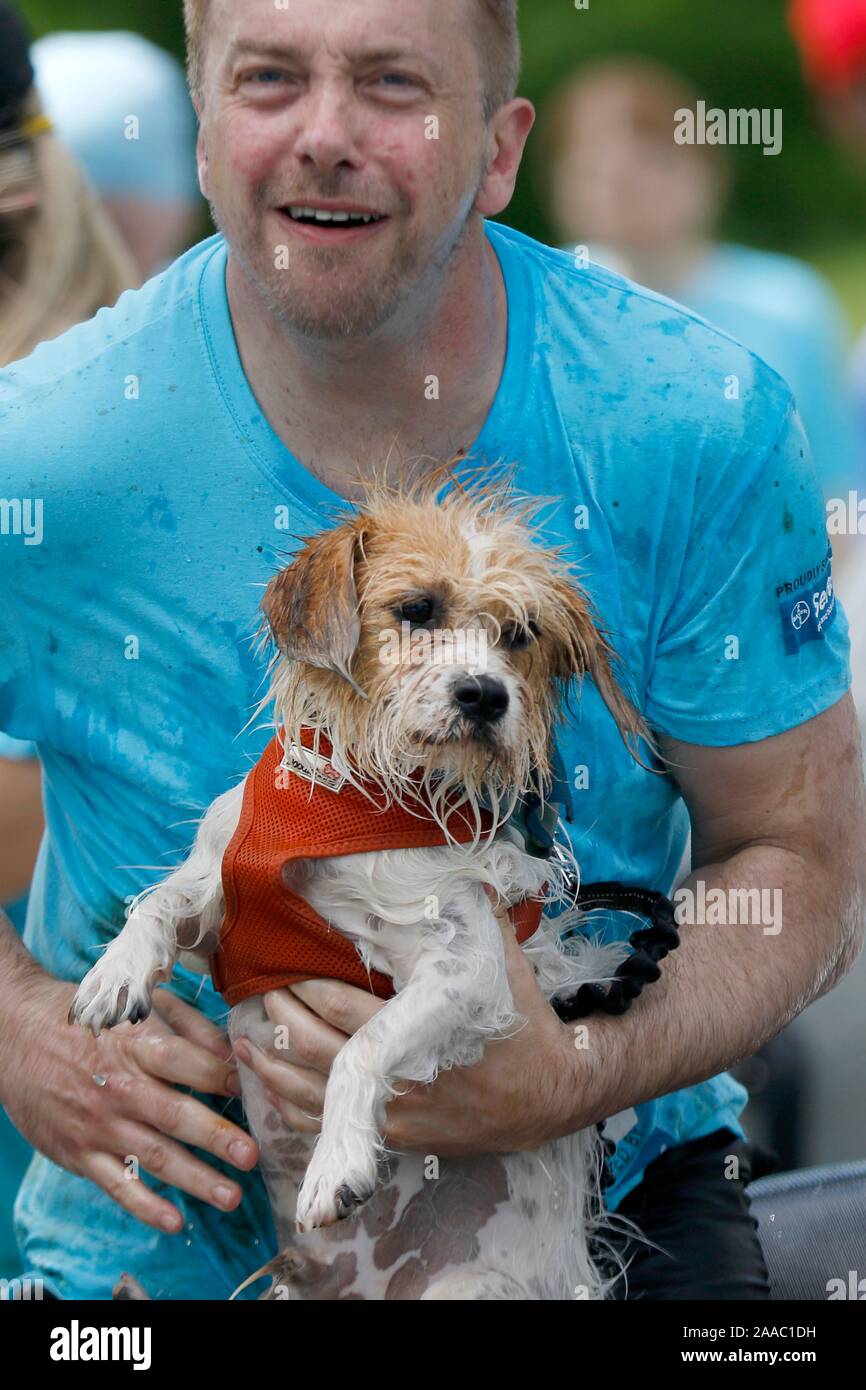 Muddy dog challenge hi-res stock photography and images - Alamy