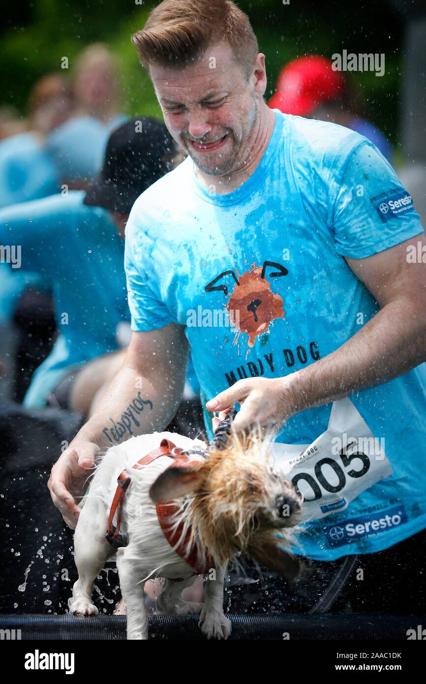 Dogs and their owners taking part in the Muddy Dog Challenge, tackling ...