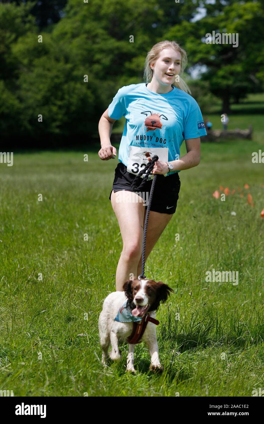 Dogs and their owners taking part in the Muddy Dog Challenge, tackling ...