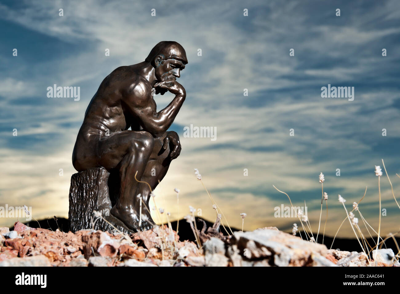 Rodin's The Thinker - Replica Bronze Statue Stock Photo - Alamy