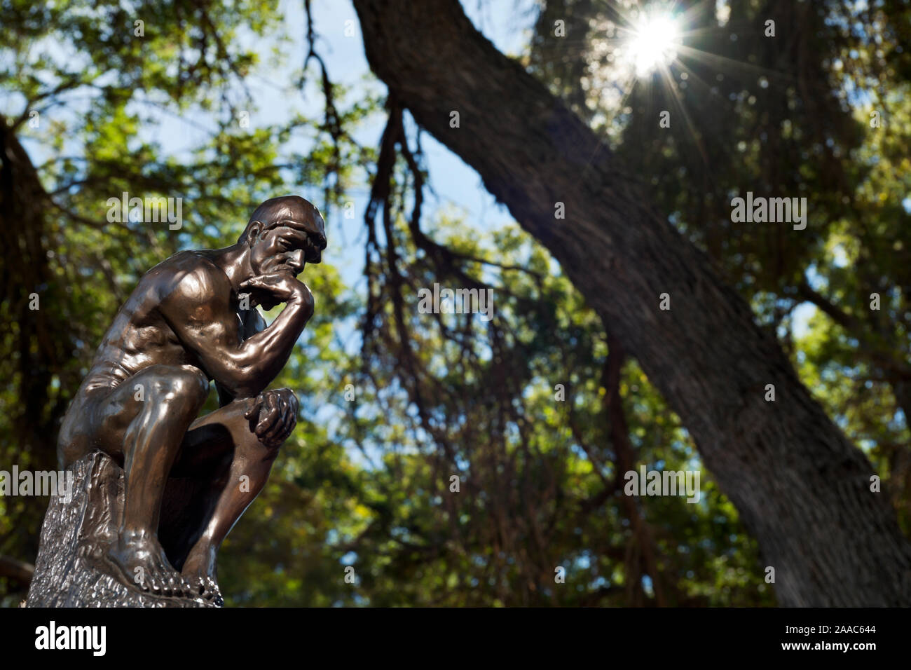 Rodin's The Thinker - Replica Bronze Statue Stock Photo - Alamy