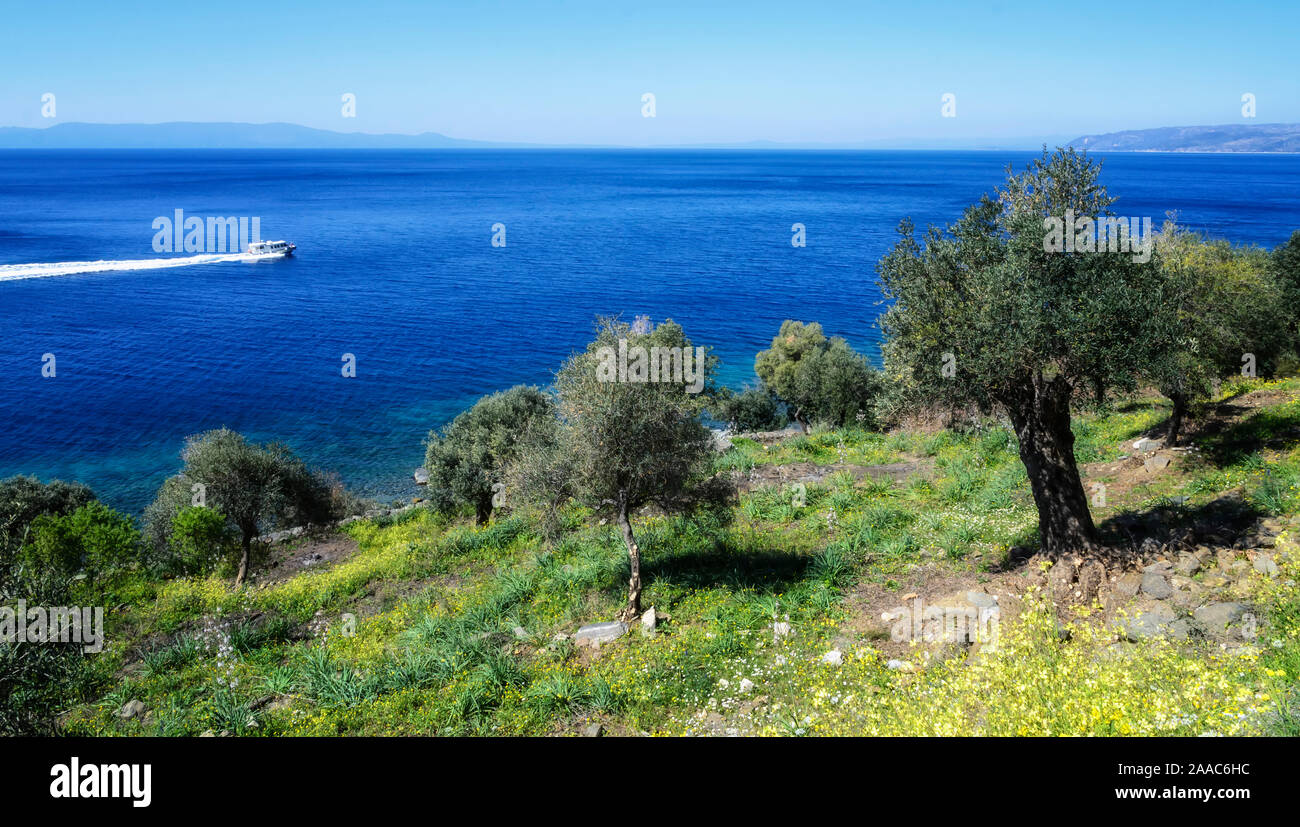 Beautiful nature of the Holy Athos Mountain Stock Photo - Alamy