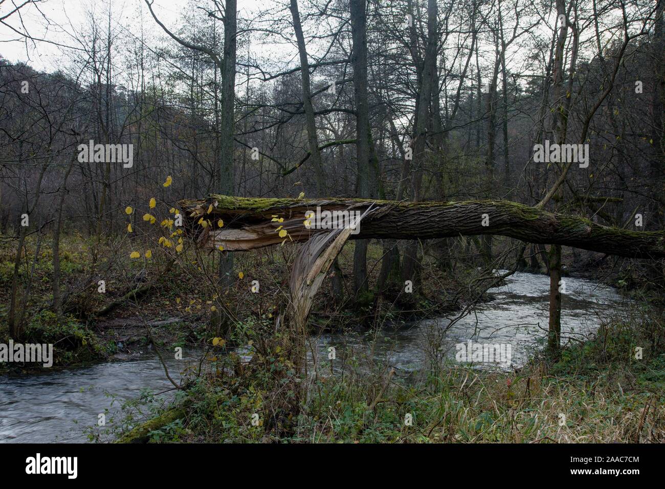 Fallen leaf flow hi-res stock photography and images - Alamy