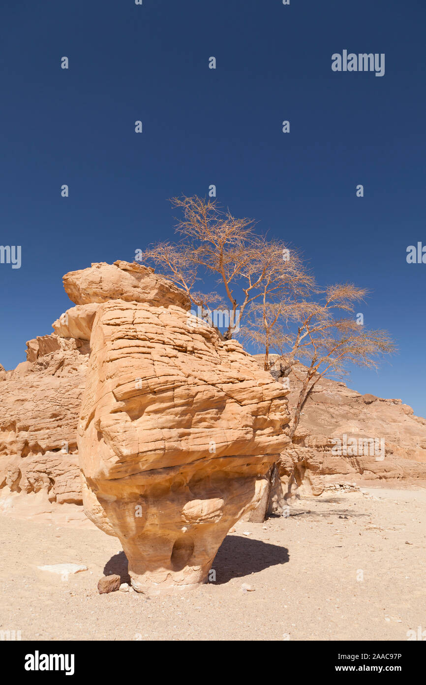 A mushroom shaped rock formation in the Sinai desert, Egypt Stock Photo ...