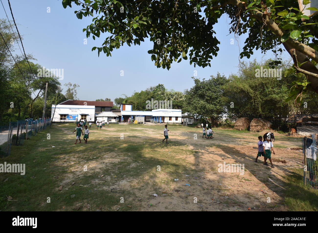 Birsingha Vidyasagar Primary School. Birsingha village (birthplace of ...