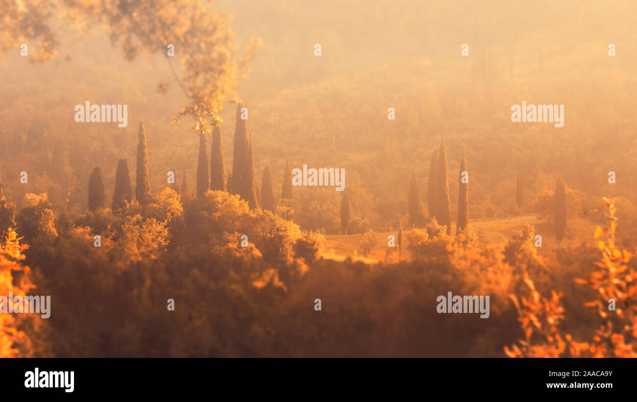 Beautiful panoramic view to greek landscape, on Athos mountain near ...