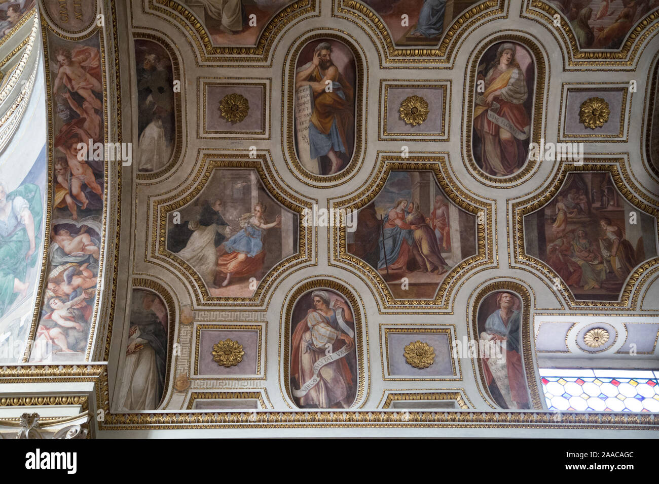 The arched ceiling of Mantua Cathedral with incredible artwork, one of ...